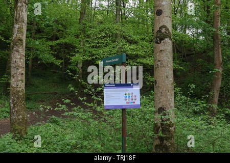Lower woodland path at Mountsandel Woods with signs and steps to the ...