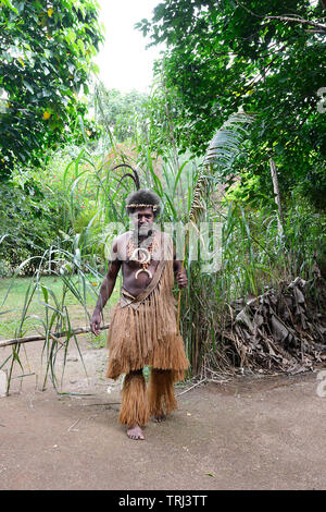 VANUATU, (NEW HEBRIDES), AMBRYM ISLAND, VILLAGE SCENE WITH NATIVE ...