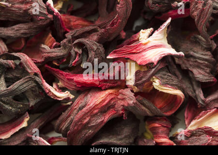 Dry carcade tea, creative texture background, red flowers of hibiscus ...