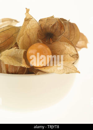 Cape Gooseberry is a plant which origin is in the Andes, but it's long ...
