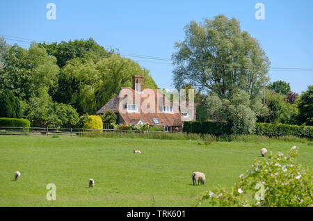 Traditional Kentish red tiled catslide roof, Wittersham, Kent, UK Stock ...