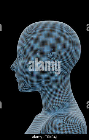 Woman's head. 3D Rendering image of female human body. Wireframe model ...