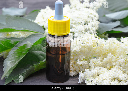 Elderberry bottled oil, fresh flowers. The concept of alternative ...