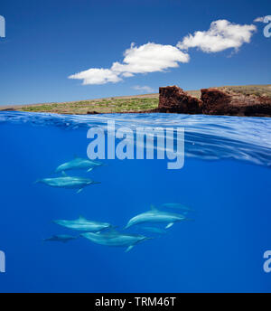 Puupehe Island (Sweetheart Rock) off the coast of Lanai Stock Photo - Alamy