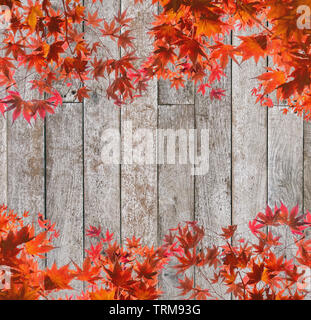 Red Maple leaves arch coverd on white background Stock Photo - Alamy