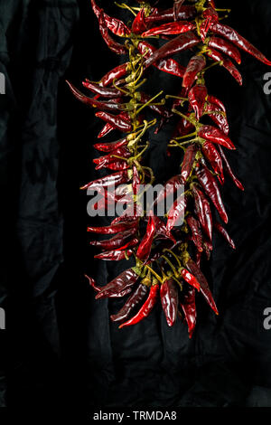 Hungarian paprika pepper string, black background, copy space on right ...