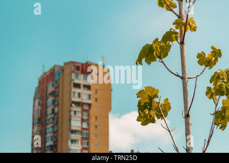 contrast between nature and cities Stock Photo - Alamy