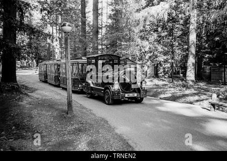 The land train at Center Parcs , Longleat, Wiltshire, England, United ...
