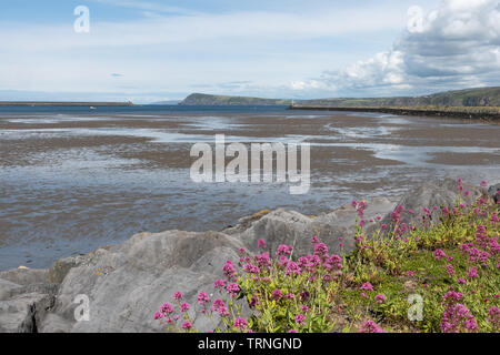Goodwick Sands, near Fishguard, Pembrokeshire, Wales, Great Britain ...