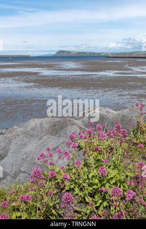 Goodwick Sands, near Fishguard, Pembrokeshire, Wales, Great Britain ...