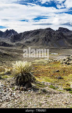 National Park Merida state The Andes Venezuela South America Stock ...