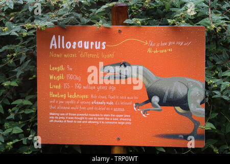 A world first predators exhibition at Chester zoo Stock Photo - Alamy