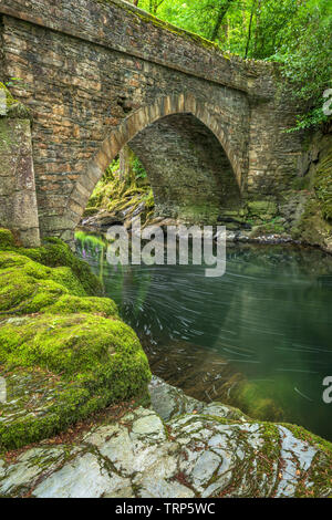 Denham Bridge over the River Tavy is popular with thrill seekers who ...