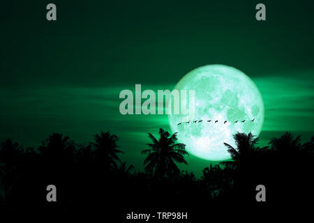 full egg moon back on silhouette Iron fence on night sky, Elements of ...