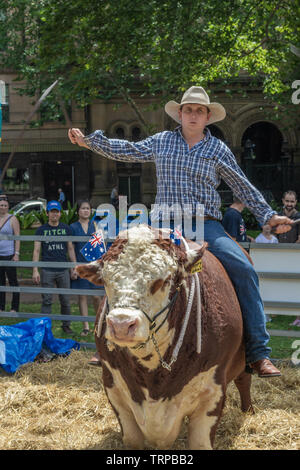 Sydney CBD area and hide park people are celebrating Australian day ...