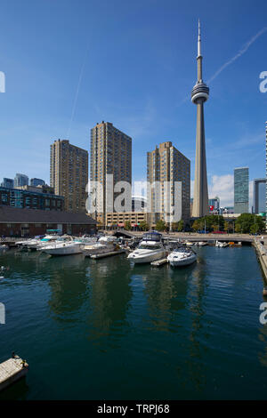 Cityscape of the city in the harbourfront area, Toronto, Canada Stock ...