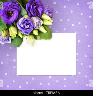 Bunch of white and purple lisianthus gentian flowers Stock Photo - Alamy