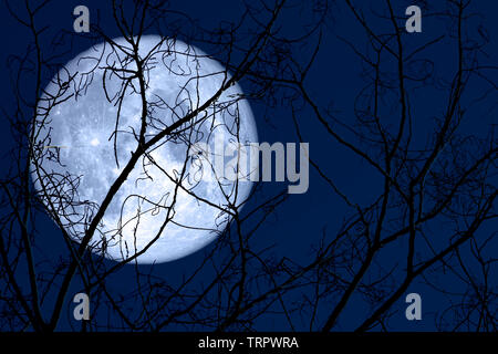 Rose Moon back silhouette trees in the field, Elements of this image ...