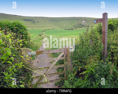The Long Man of Wilmington, ancient figure on the South Downs near ...