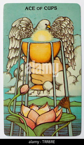 Ace of cups tarot card from the Rider Tarot Cards designed by Pamela Colman Smith under ...
