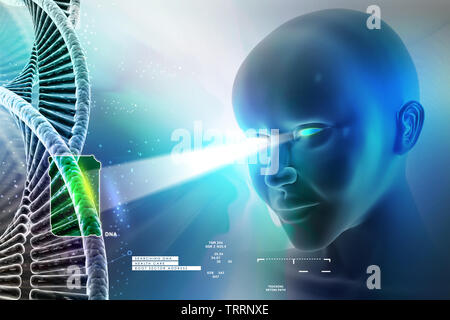 Structures Of The Human Eye Stock Photo - Alamy
