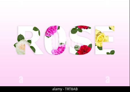 summer word on Pink flowers background, selective focus, toning Stock ...