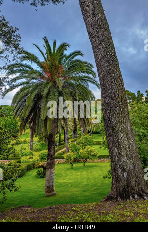 Italy Sardinia Sassari Monserrato Park stairs garden with cypress, palm ...
