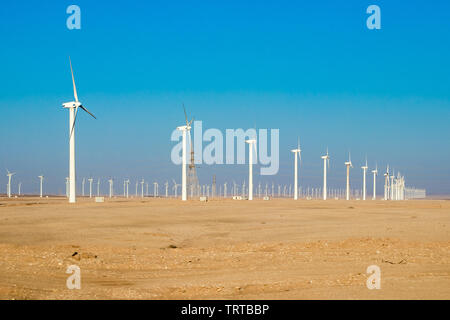 Wind farm in Egypt Stock Photo - Alamy