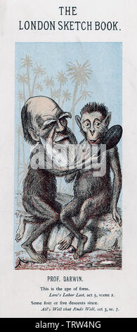 1874 caricature of Charles Darwin as an ape. Darwin (1809 - 1882 ...
