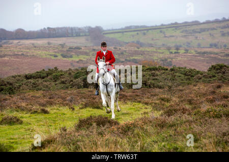 Fox hunting on Exmoor, Devon Stock Photo - Alamy