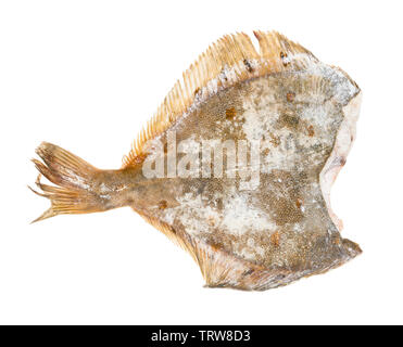 back side of the fish isolated on white background Stock Photo - Alamy