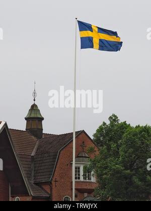 Swedish flag waving in front of dense evergreen forest under soft ...