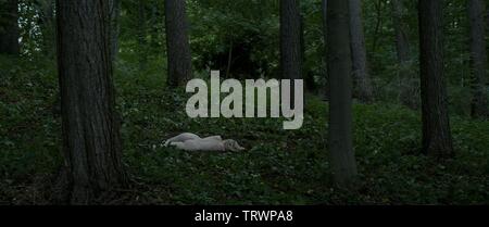 THE ABSENT ONE (2014) -Original title: FASANDRAEBERNE-. Copyright ...