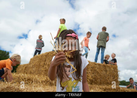 Kids playing on top of a haystack and throwing around the hay in summer ...