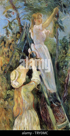The Cherry Picker 1891 by Berthe Morisot Stock Photo - Alamy