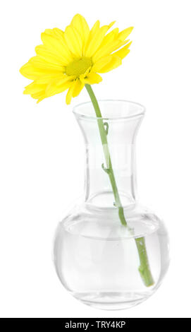 Flower in test-tube isolated on white Stock Photo - Alamy