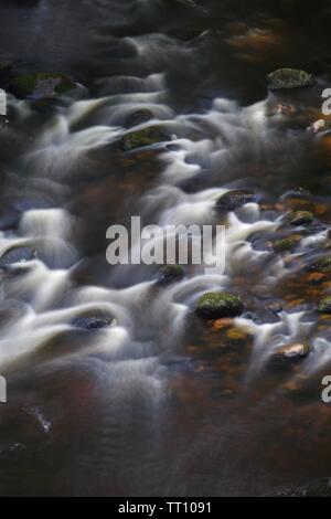 Looking Down on a Section of Rapids along the River Dart, Holne Woods ...