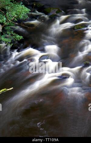 Looking Down on a Section of Rapids along the River Dart, Holne Woods ...