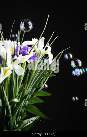 Beautiful irises on black background Stock Photo - Alamy
