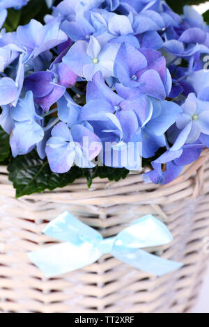 Hydrangea in basket close-up Stock Photo - Alamy