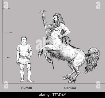 Monster illustration. Troll and human anatomy comparison. Fantasy ...