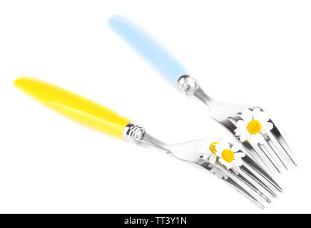 Forks with daisy flower, isolated on white Stock Photo - Alamy