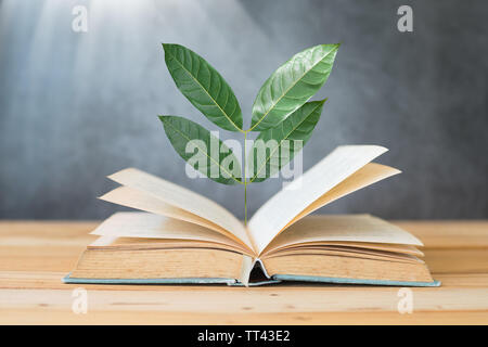 The concept of a book or a tree of knowledge with a tree growing from ...