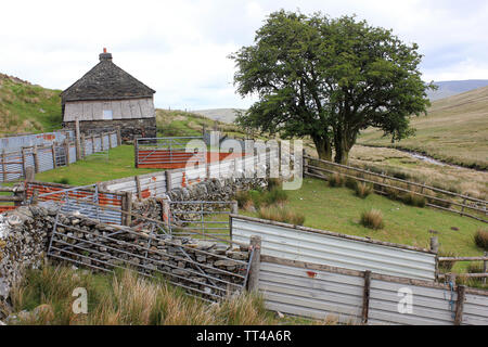 Remote Farmhouse with Sheep Pens on the Migneint Moors, nr Ysbyty Ifan ...