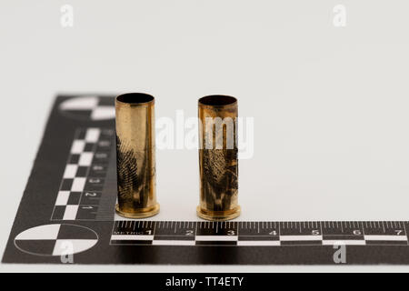 Forensic fingerprint evidence on live and dead 0.38 inch, 9mm, brass ...