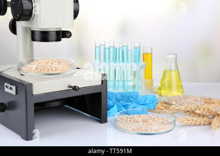 Microbiological testing for food quality at biochemistry laboratory ...