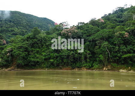 Beni river in National Park Madidi, Bolivia Stock Photo - Alamy