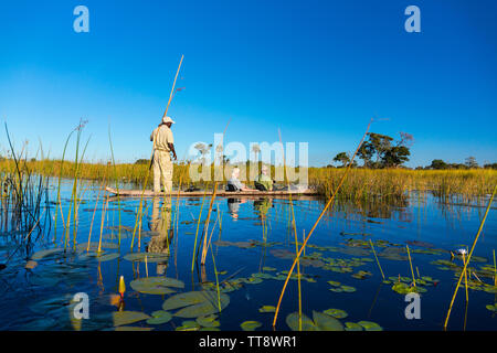 Mokoro, Okavango Delta, Botswana, Africa Stock Photo - Alamy