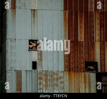 Rusty Corrugated Metal Siding of a Grain Bin Stock Photo - Alamy
