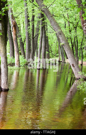 Banfill-Locke, Manomin County Park at Rice Creek and the Mississippi ...